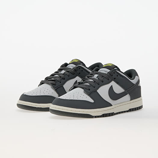nike dunks iron